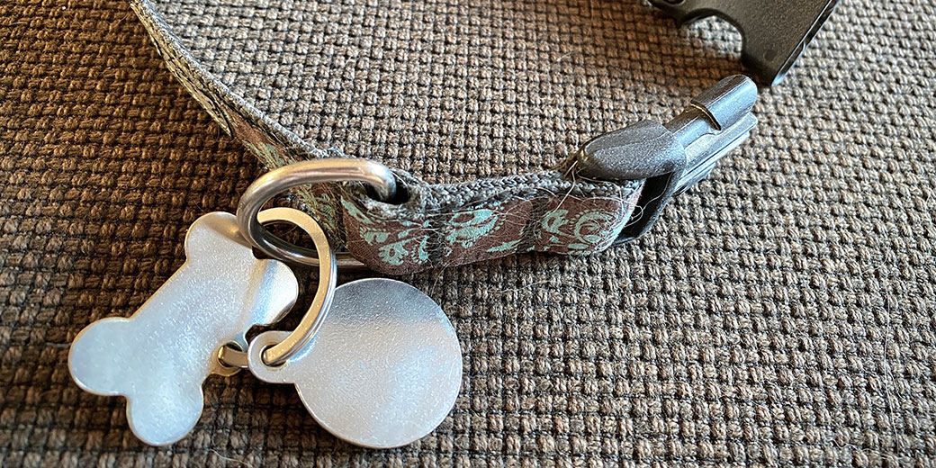 Licenses & Microchips - BCHS